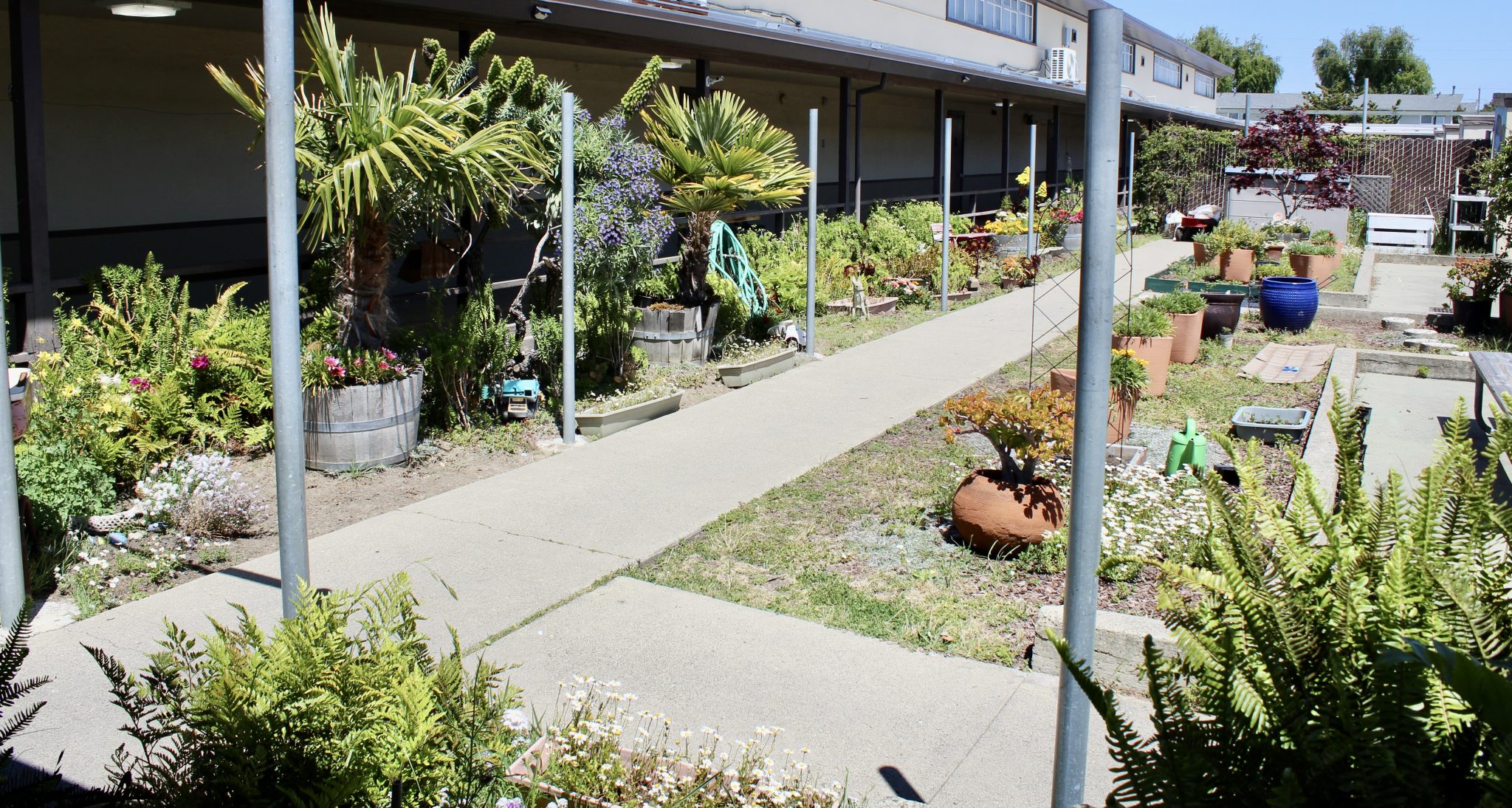 ABOUT US - Woodroe Woods School